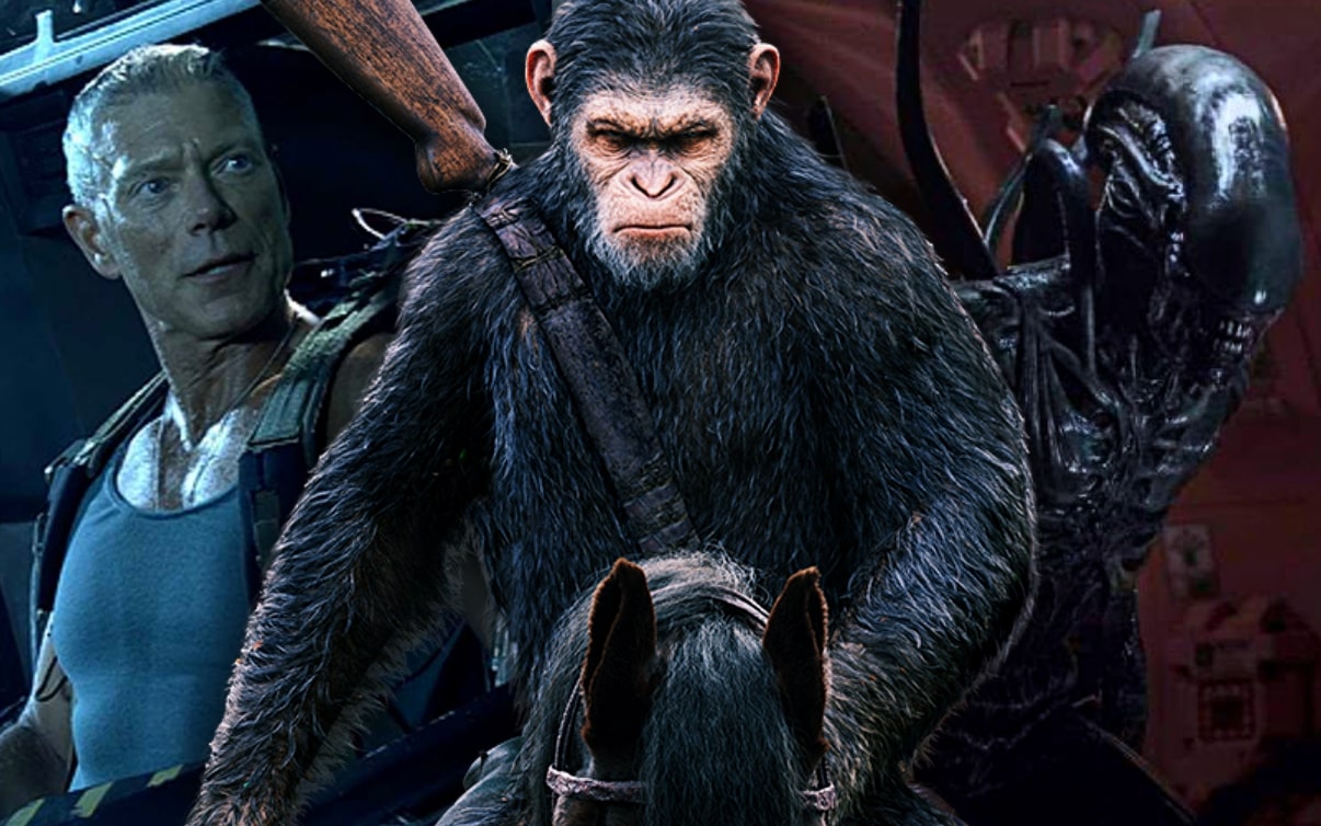Disney To Prioritize Content For Their Streaming Services From Sports ...